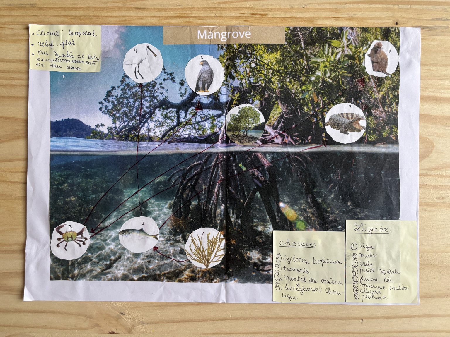 La biodiversité – L'école de la nature