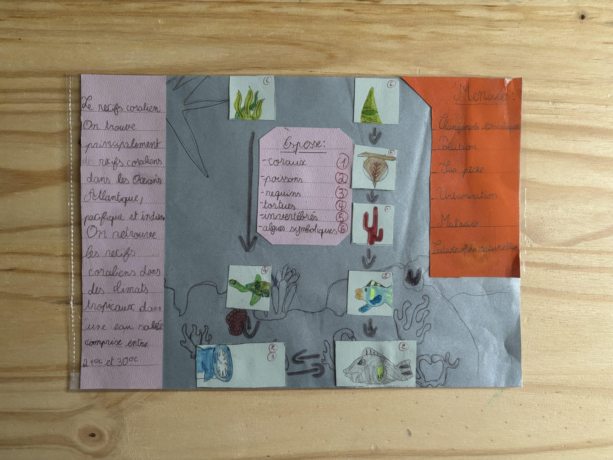 La biodiversité – L'école de la nature