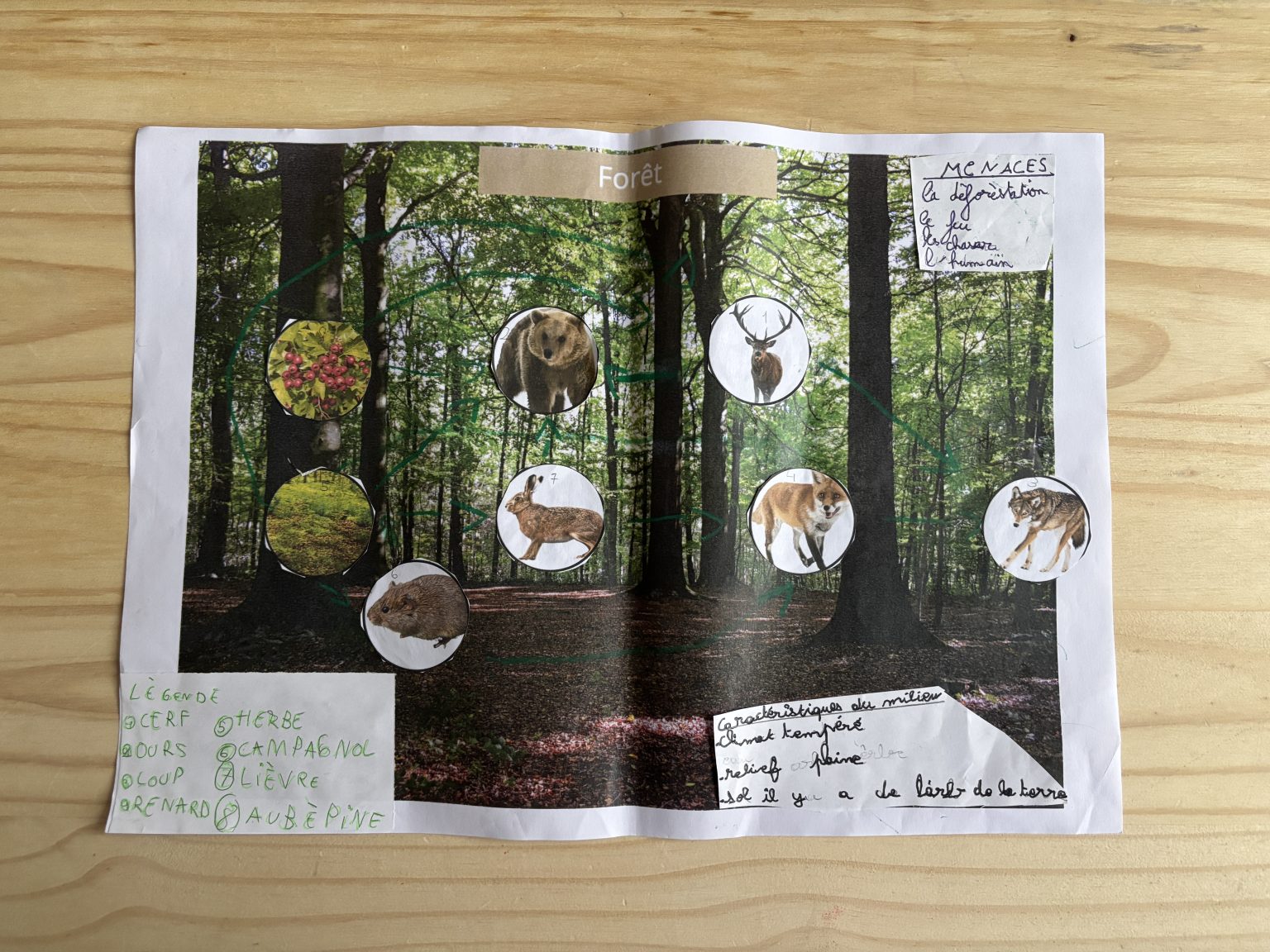 La biodiversité – L'école de la nature